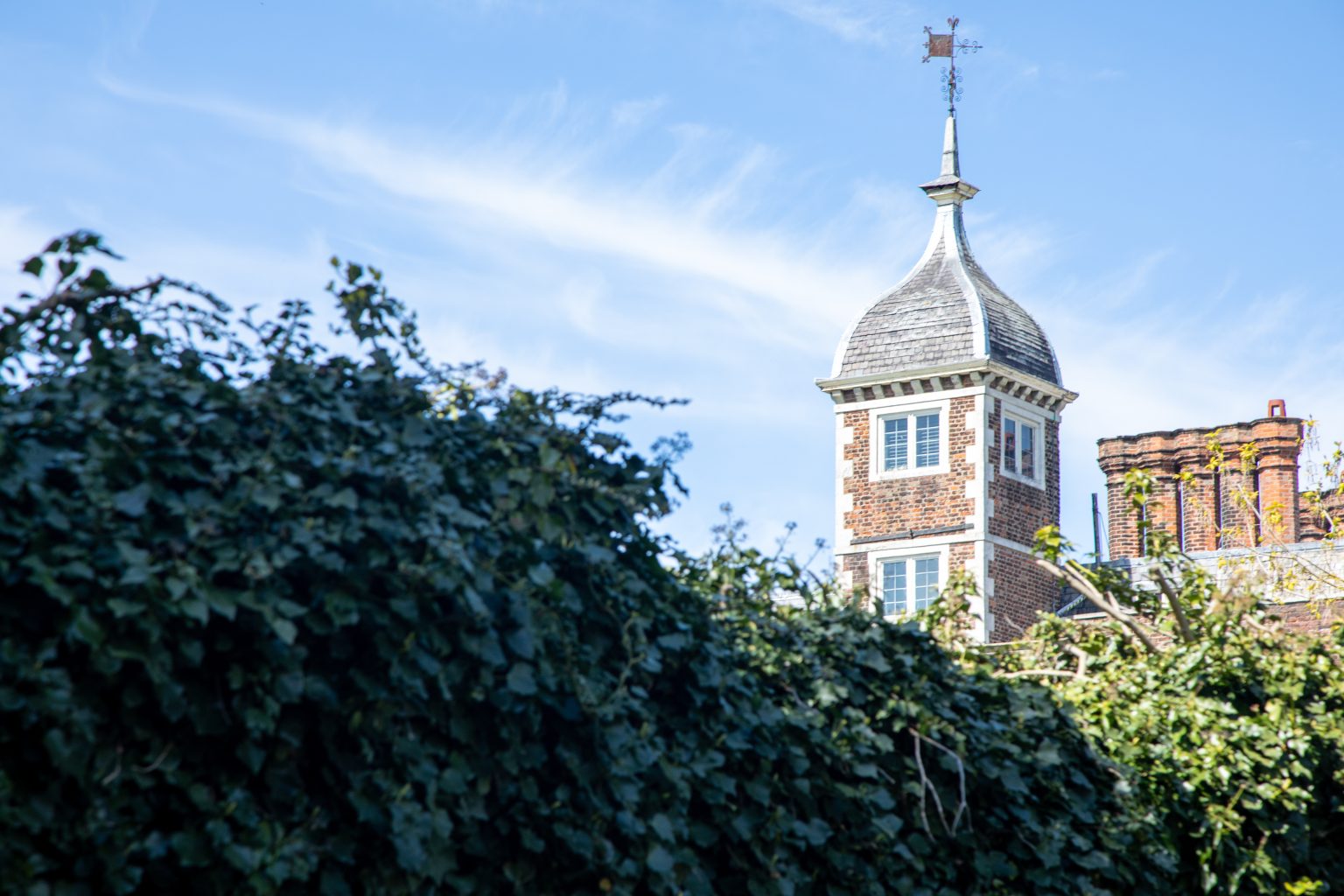 Upcoming Routine Tree Works At Charlton House - Royal Greenwich ...